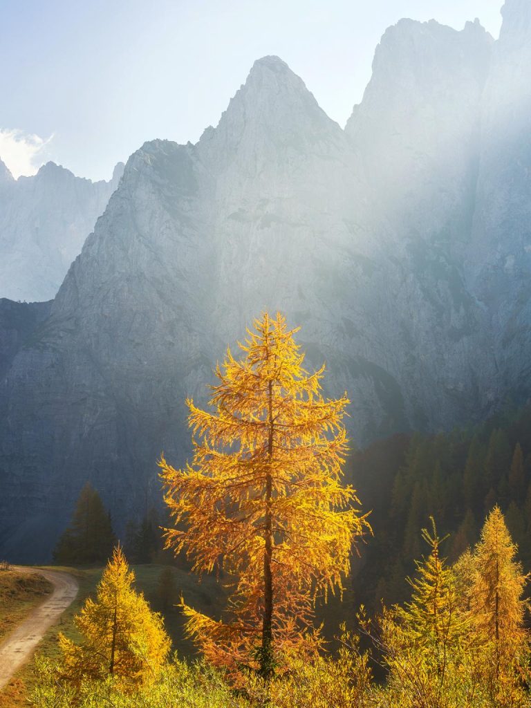 Uttarakhand - Travel Estate